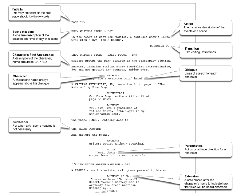 a dive into scriptwriting! – Lucid Elucidations